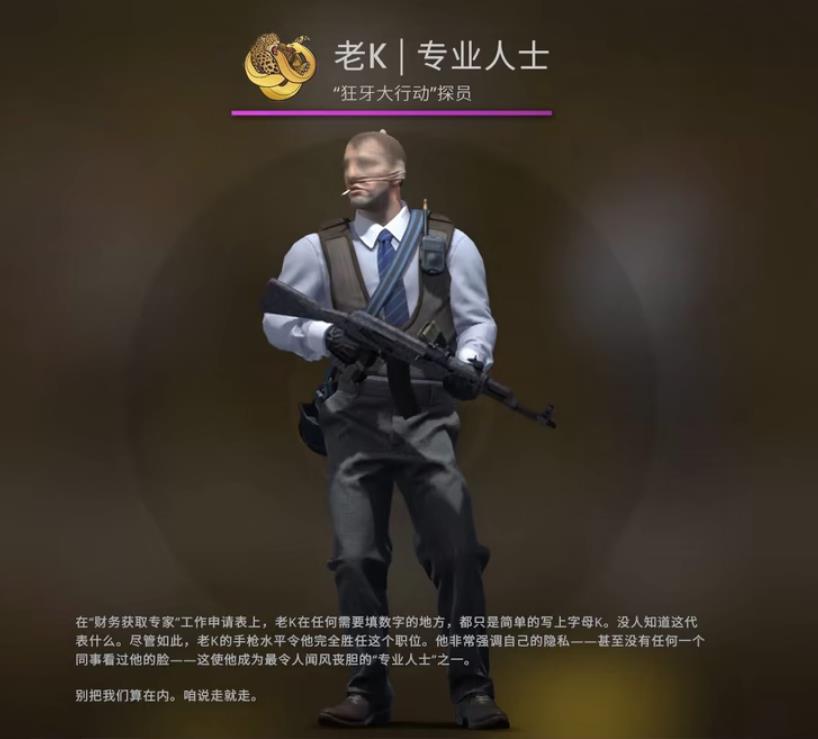 csgo人物皮肤哪个好用_反恐精英：全球攻势大神回答-梦幻手游网